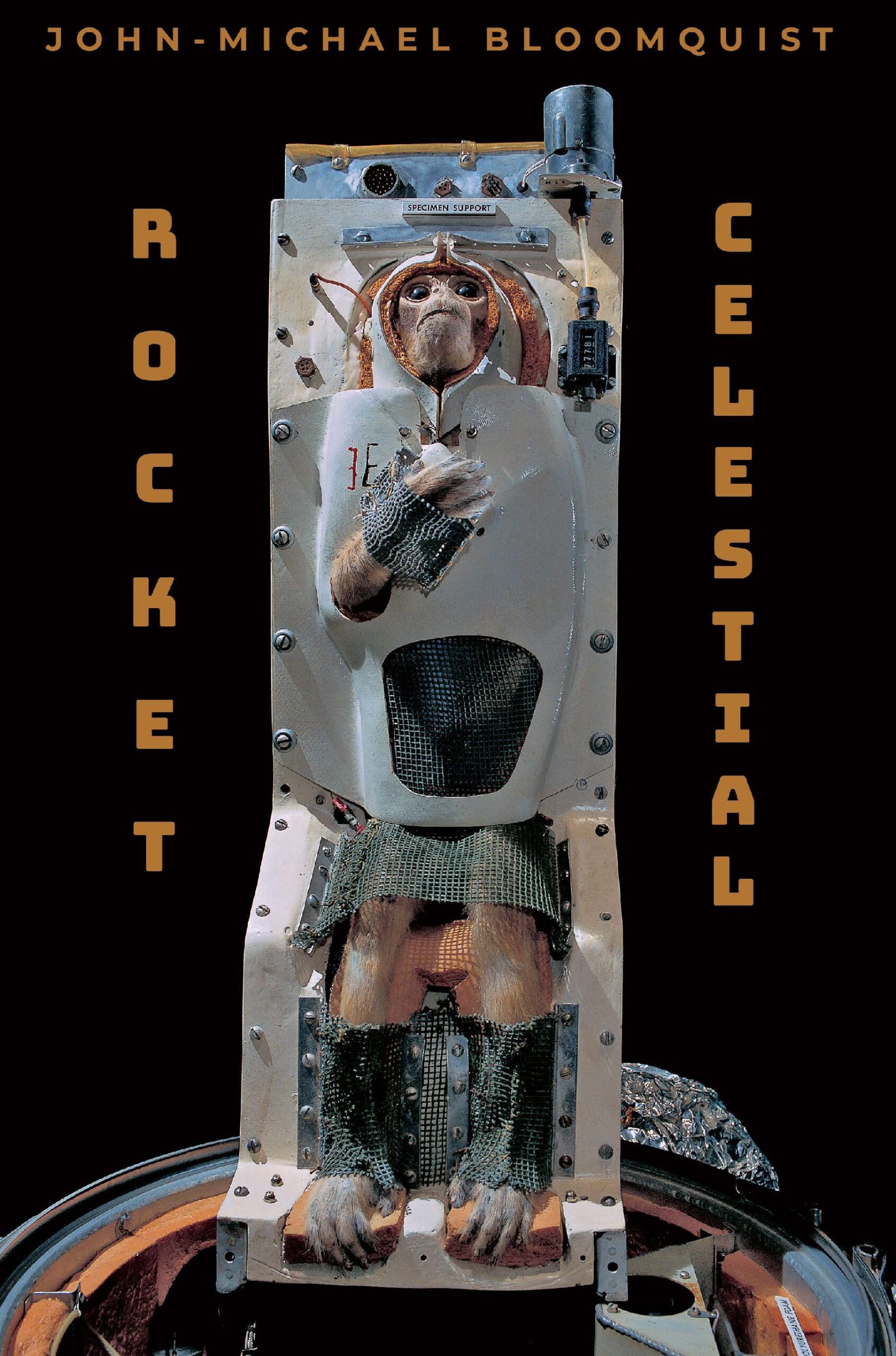 ROCKET CELESTIAL | Poems by John-Michael Bloomquist (Mexico) – Peace ...